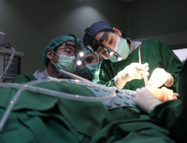 Best Plastic Surgery Clinic & Surgeon in Indonesia | T-Space Bintaro ...